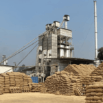 Discover the Basmati Rice Exporter From India.